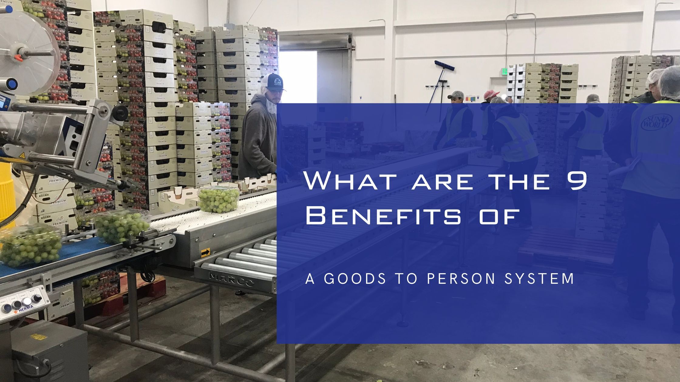 What Are 9 Benefits of a Goods-to-Person System?